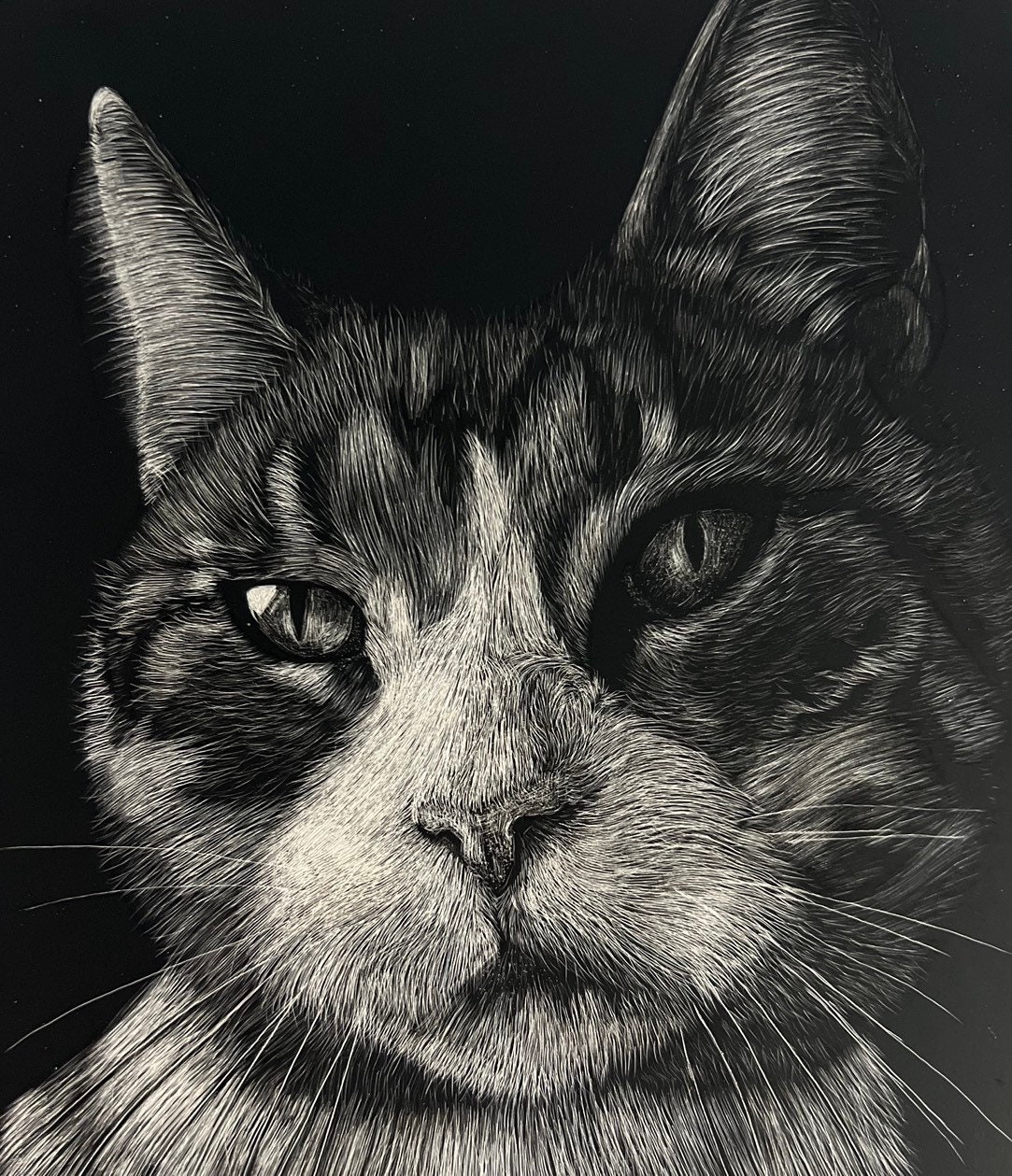 Animal Scratchboard Ideas