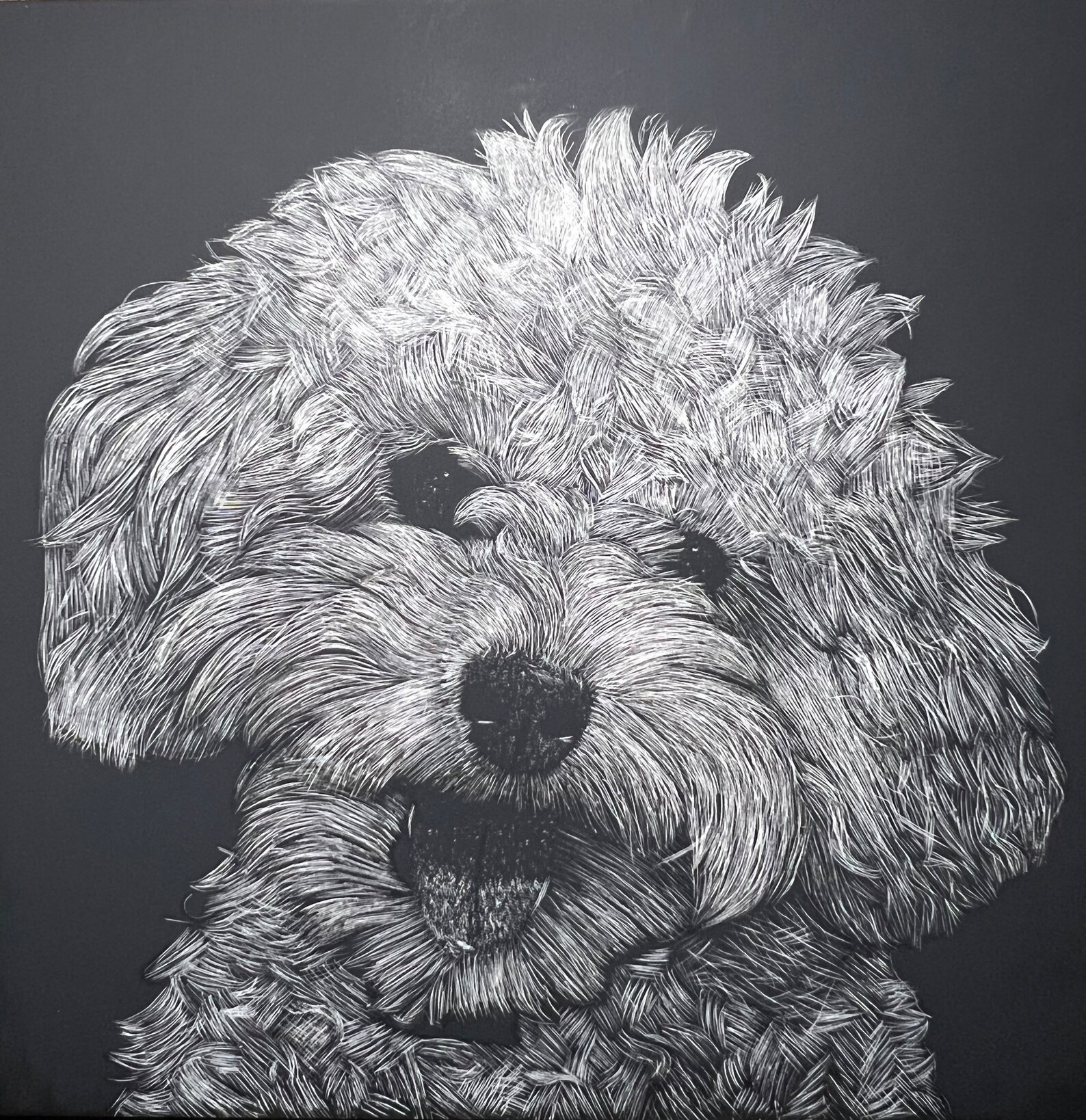 Commissioning Scratchboard Pets - Etsy