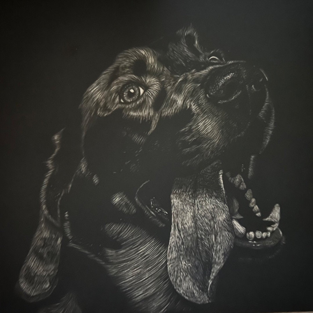 Scratchboard Black Labrador Dog - Etsy