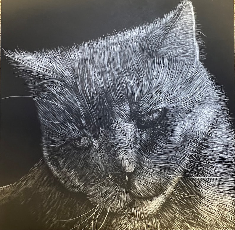 Commissioning Scratchboard Pets - Etsy