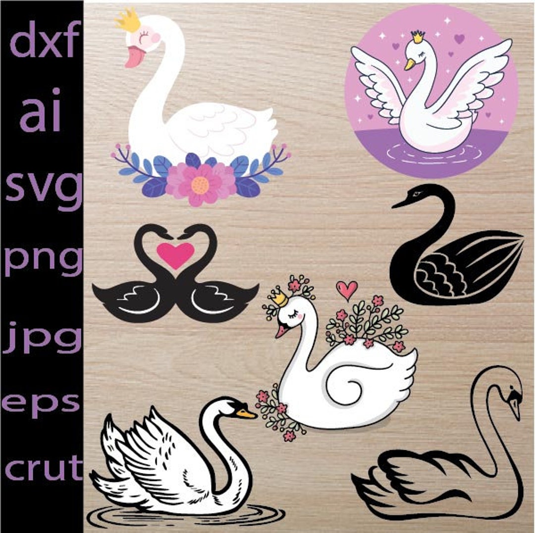 Swan SVG Cut File / Clip Art / Swan Prince / Swan SVG - Etsy