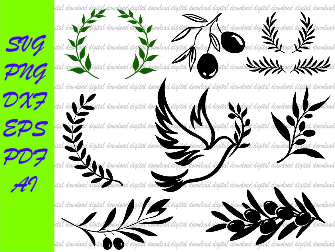 Olive Branch Svg, Olive Svg, Olive Clipart, Olive Silhouette, Botanical ...