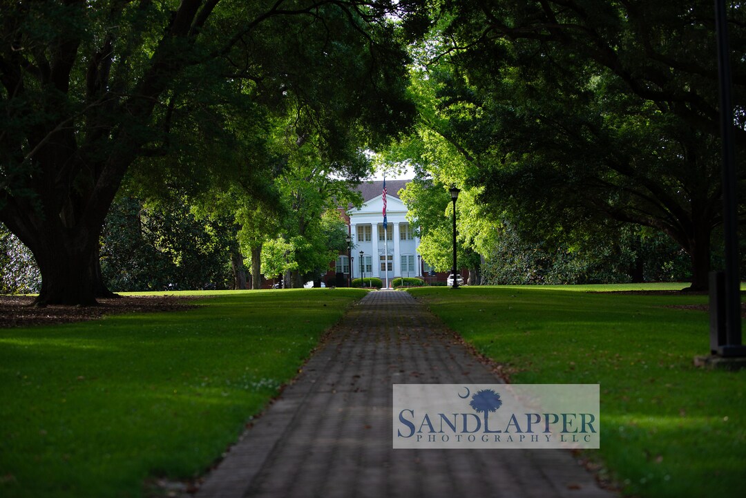Georgia Southern Sweetheart Circle - Etsy