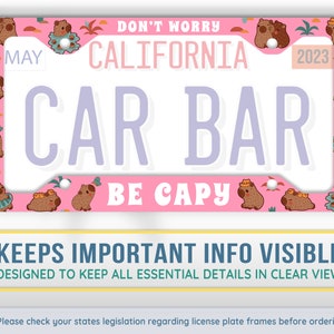 Capybara License Plate Frame, Cute Pink Car Accessories for Women ...