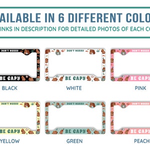 Capybara License Plate Frame, Kawaii Car Decor, Capybara Birthday Gift ...