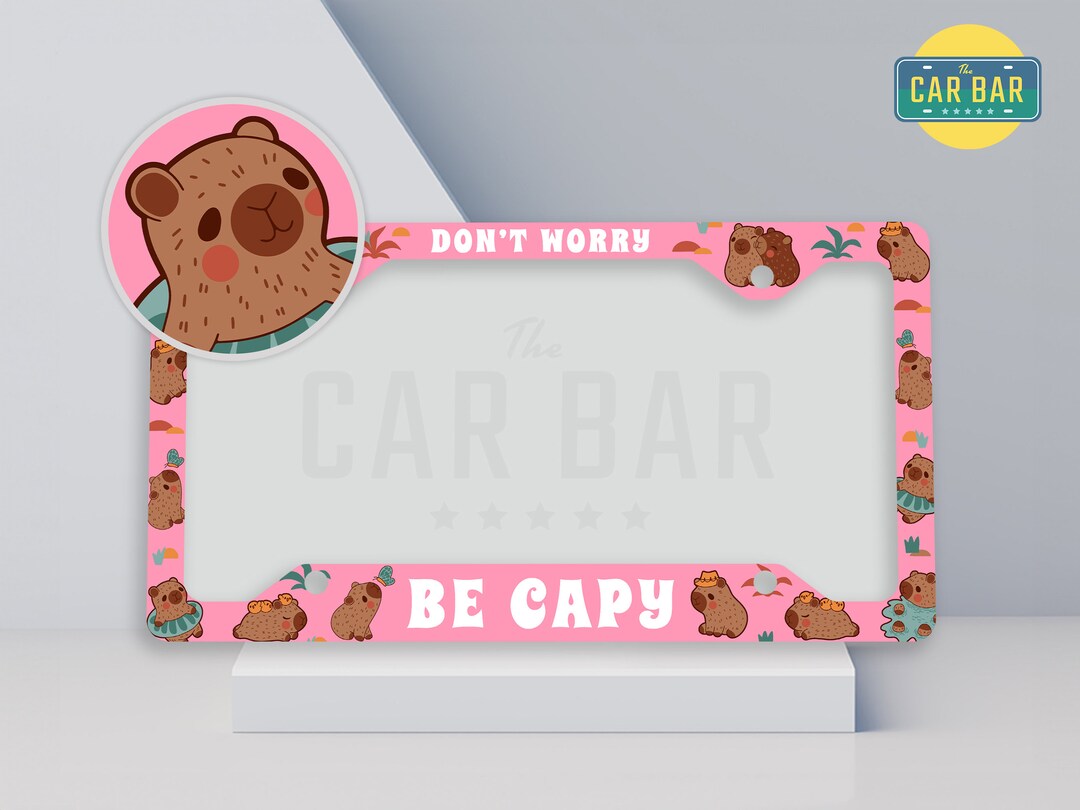 Capybara License Plate Frame Cute Pink Car Accessories for - Etsy