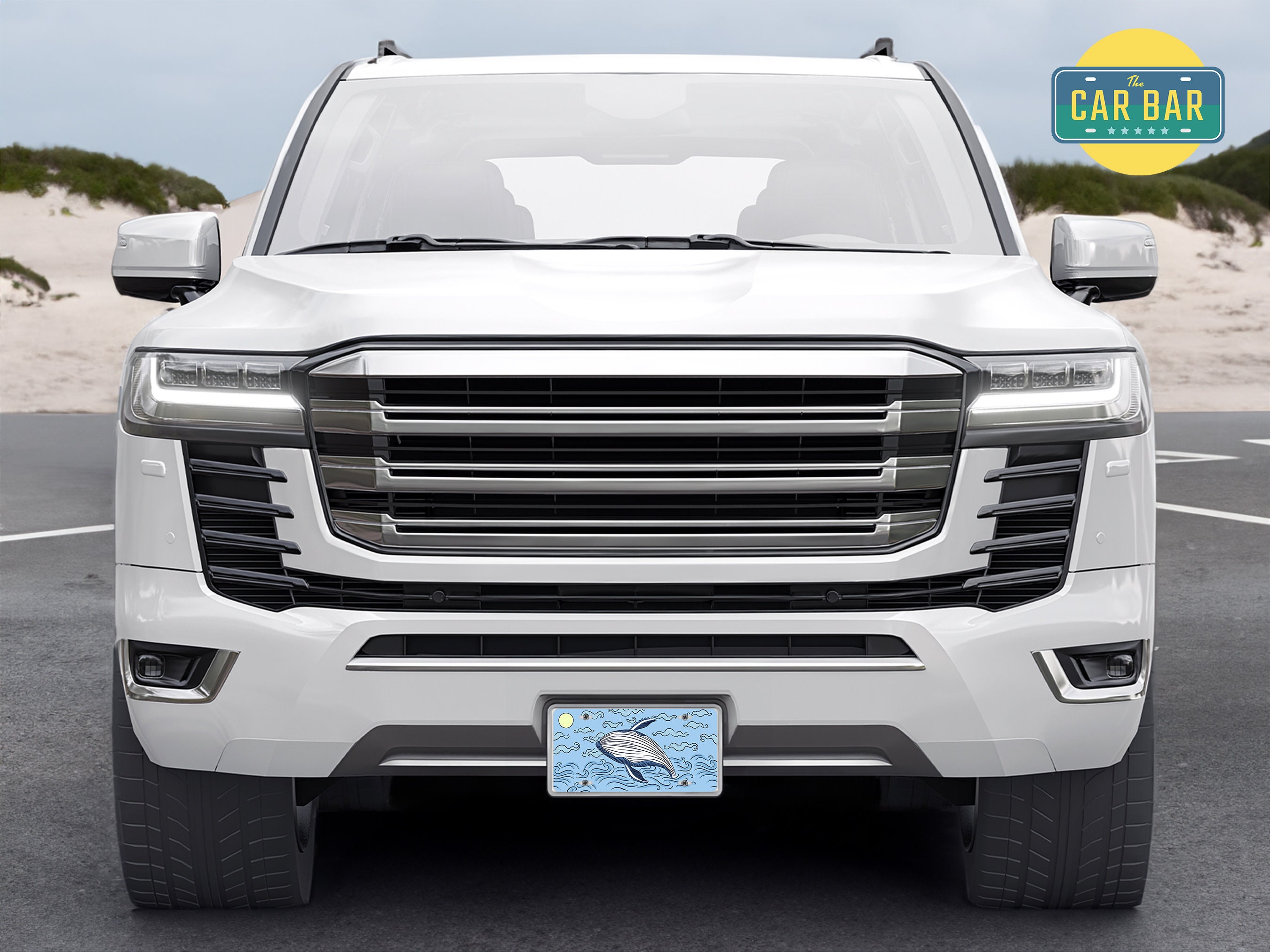 Whale License Plate, Humpback Whale Accessories for Women, Ocean Gifts ...