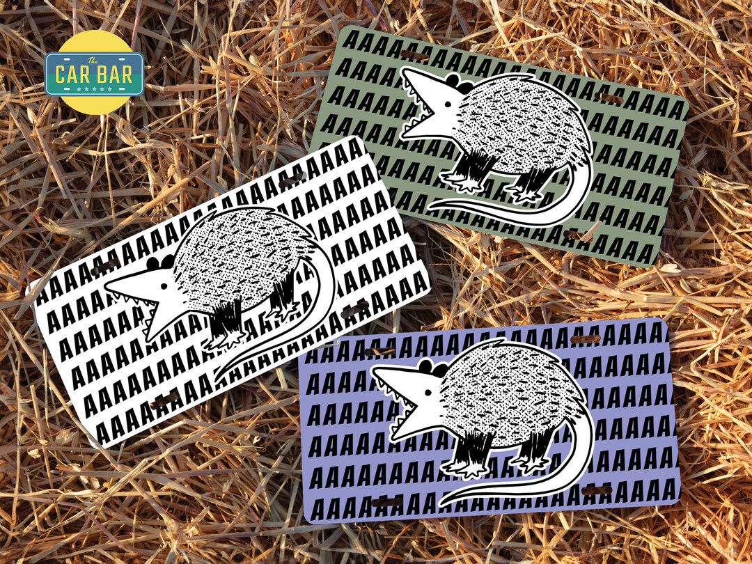 Opossum License Plate, Possum Car Decor, Funny Car Accessories for Men ...