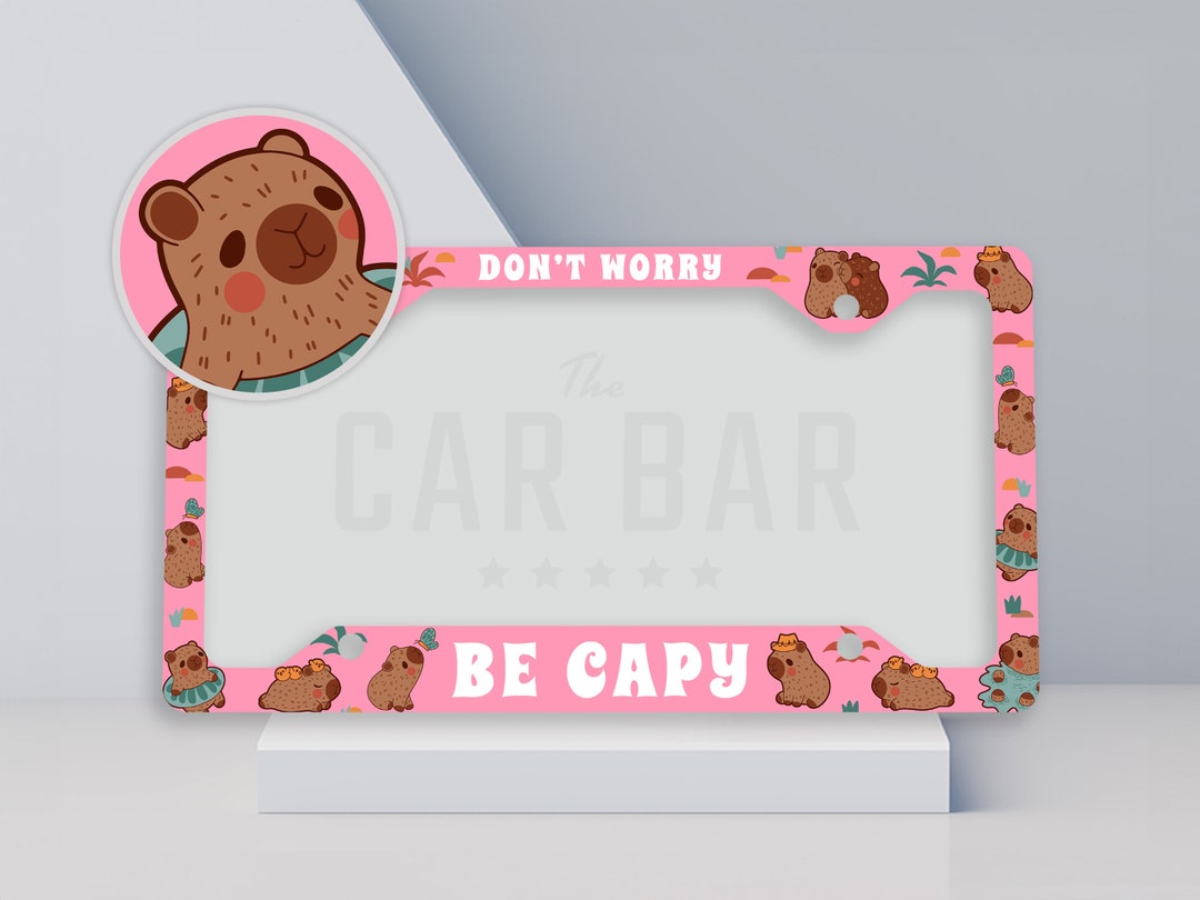 Capybara License Plate Frame, Cute Pink Car Accessories for Women ...