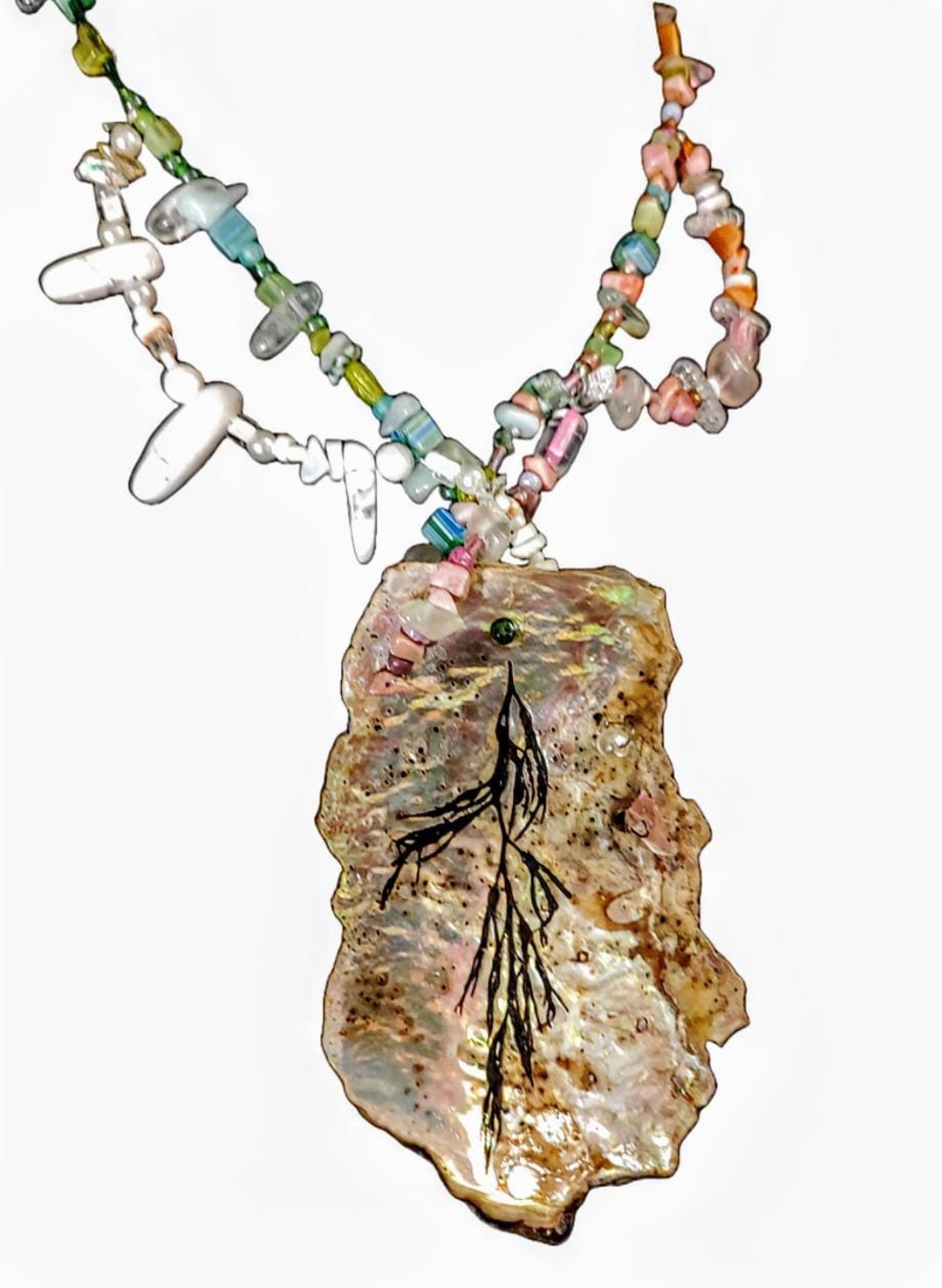 Ancient Beauty Unearthed. Stunning Native American Midden Abalone ...