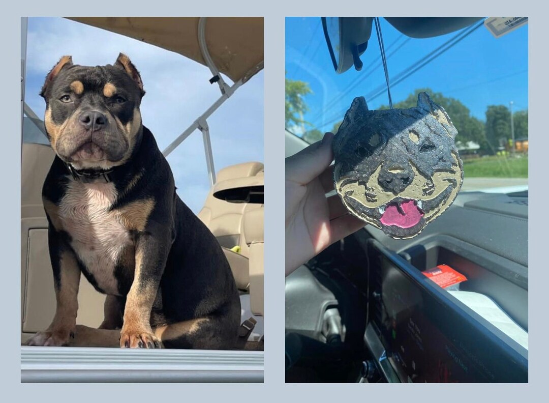 American Bully Freshie Customizable - Etsy