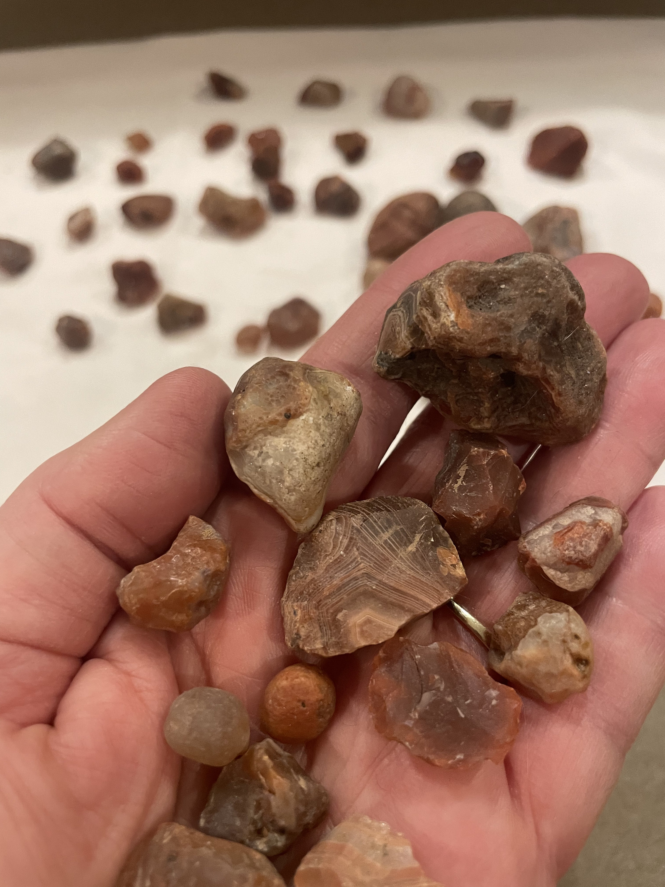 Lake Superior Agates In The Rough