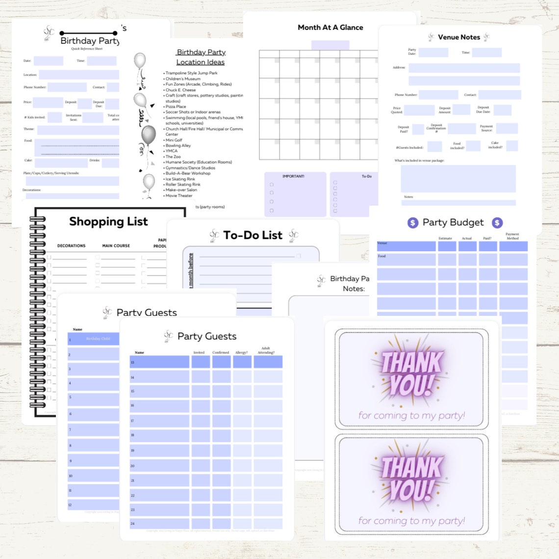 Kids Birthday Party Planner, Instant Digital Download Printable Party ...