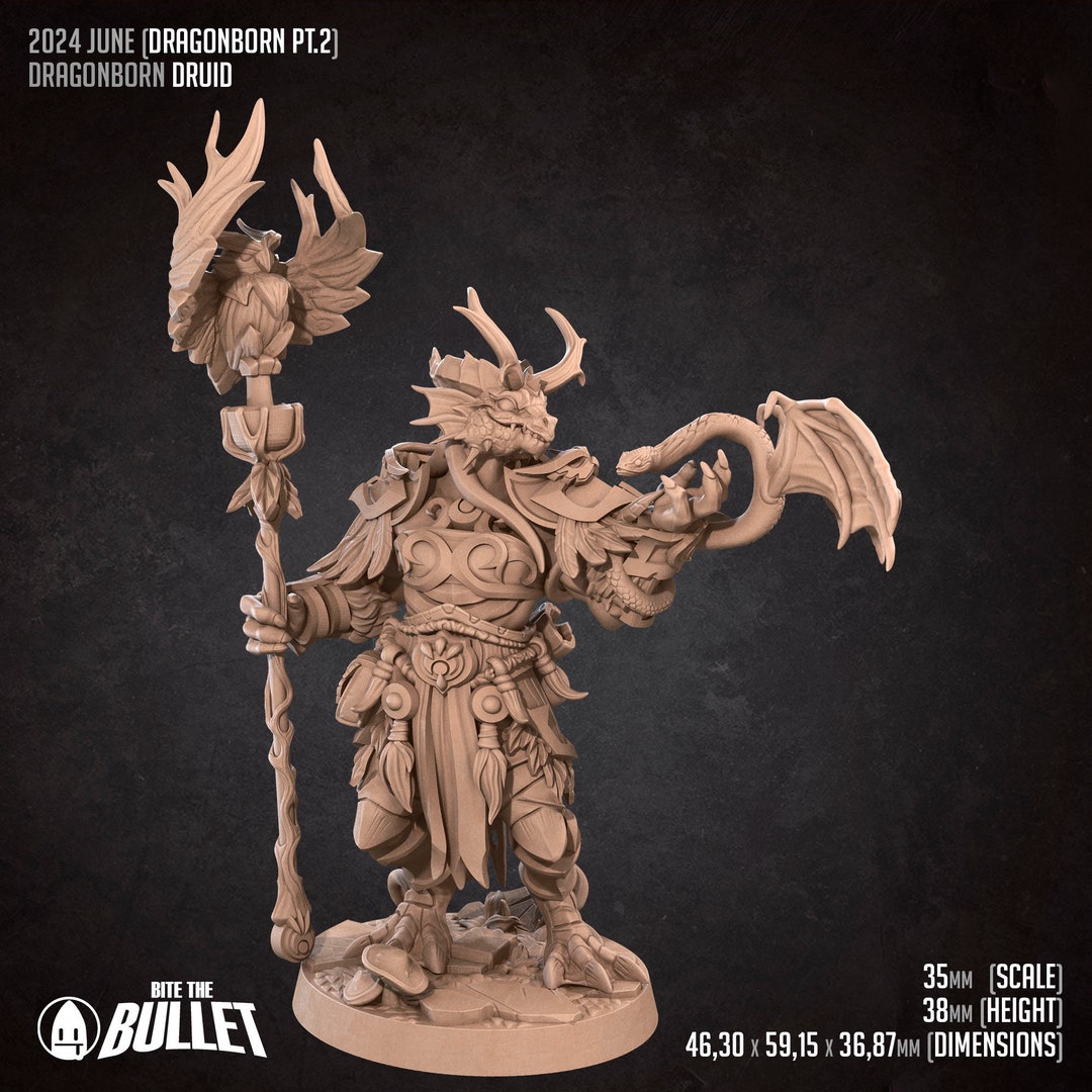 Dragonborn Druid Bite the Bullet 35mm Scale Resin Printed Tabletop RPG ...