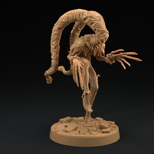 The Red Jester | Dragon Trappers Lodge | Monster | One Page Rules ...