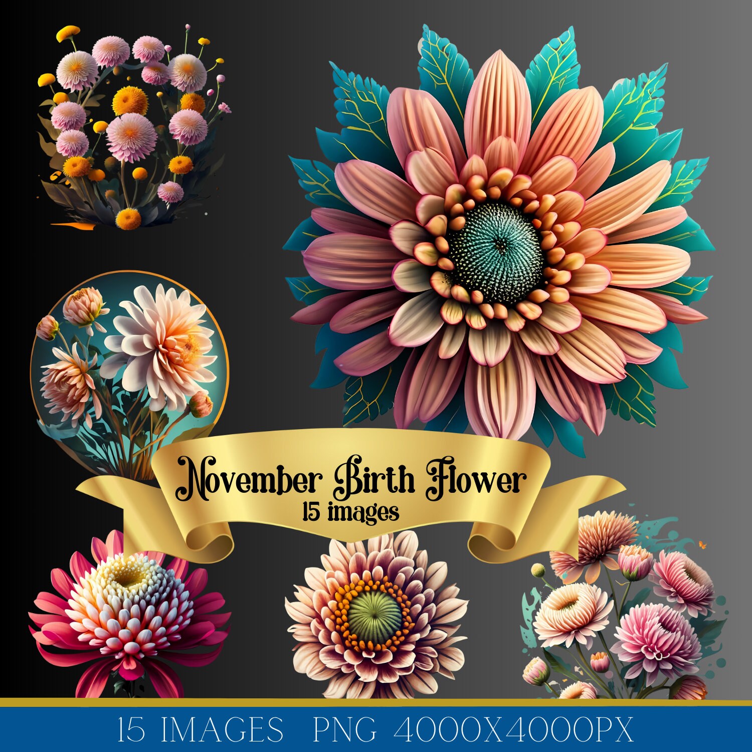 November Birth Flower Clip Art Bundle Png, Chrysanthemums Birthflower ...
