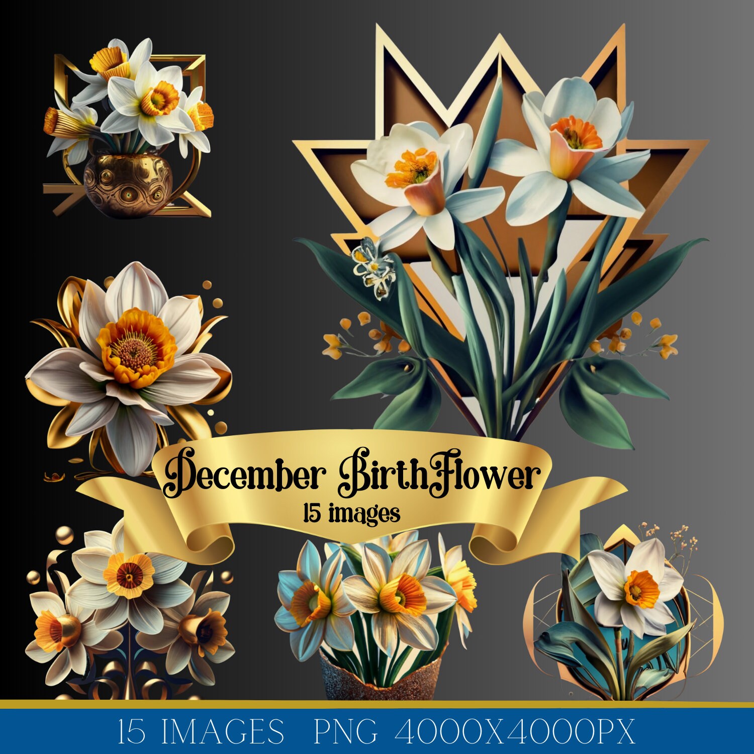 December Birth Flower Clip Art Bundle Png, Narcissus Birthflower ...