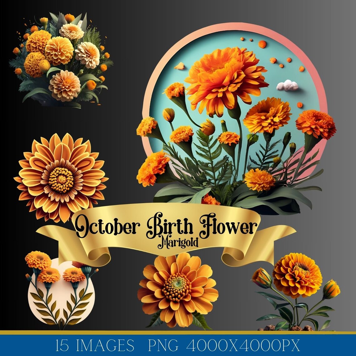 October Birth Flower Clip Art Bundle Png, Marigold Birthflower Clipart ...