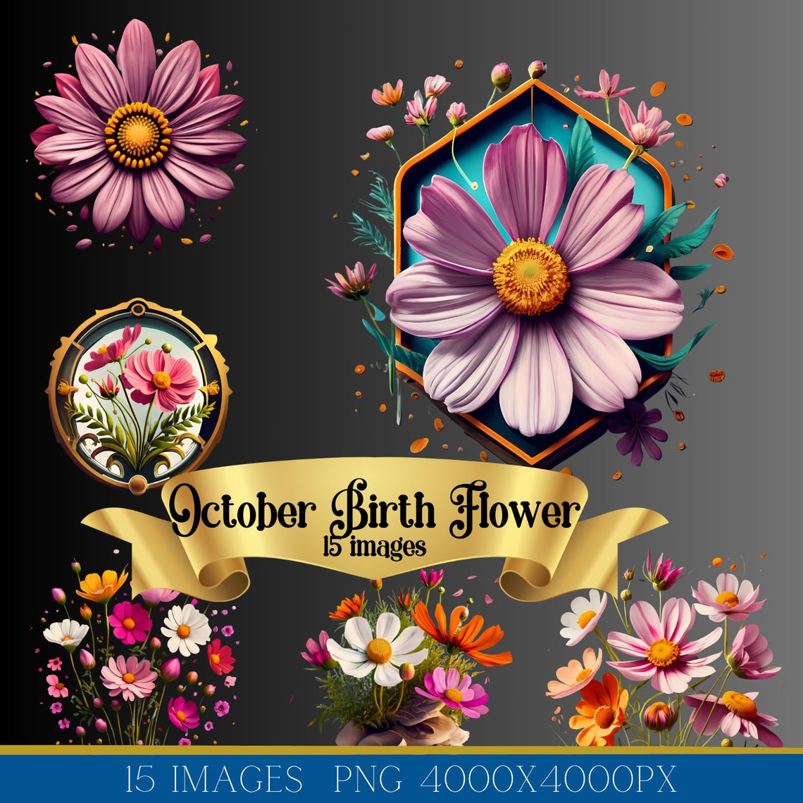 October Birth Flower Clip Art Bundle Png, Cosmos Birthflower Clipart ...