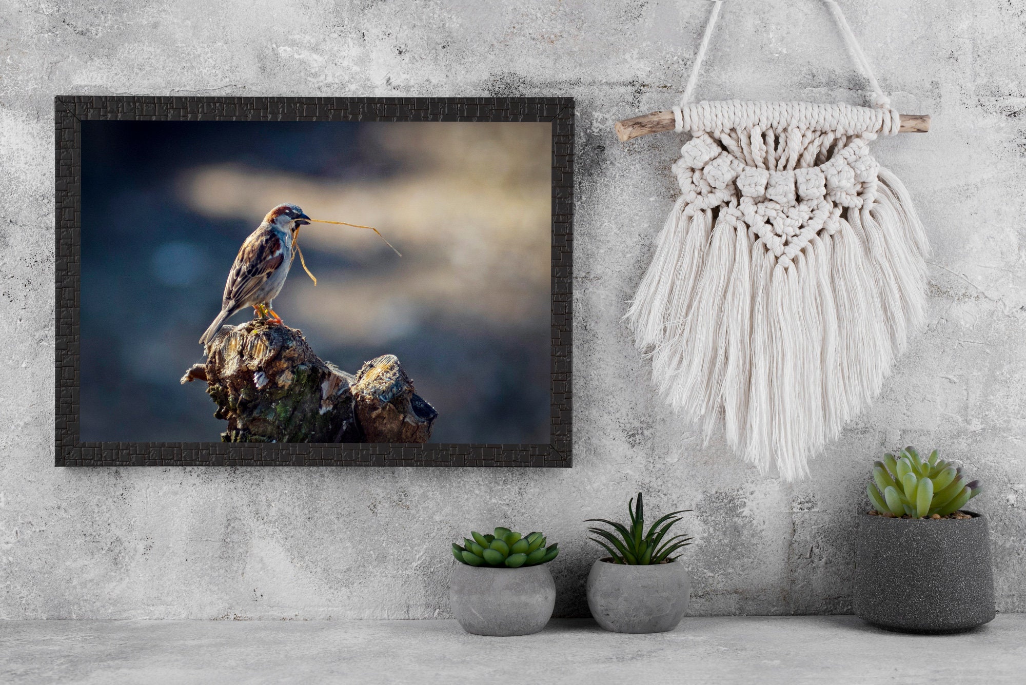 Wildlife Poster Decore Wall Decore Bird Wildlife Lover - Etsy