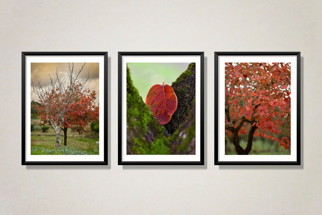 Minimalist Poster Walle Art, Walle Tree Art, Fall Red Artful Decore ...