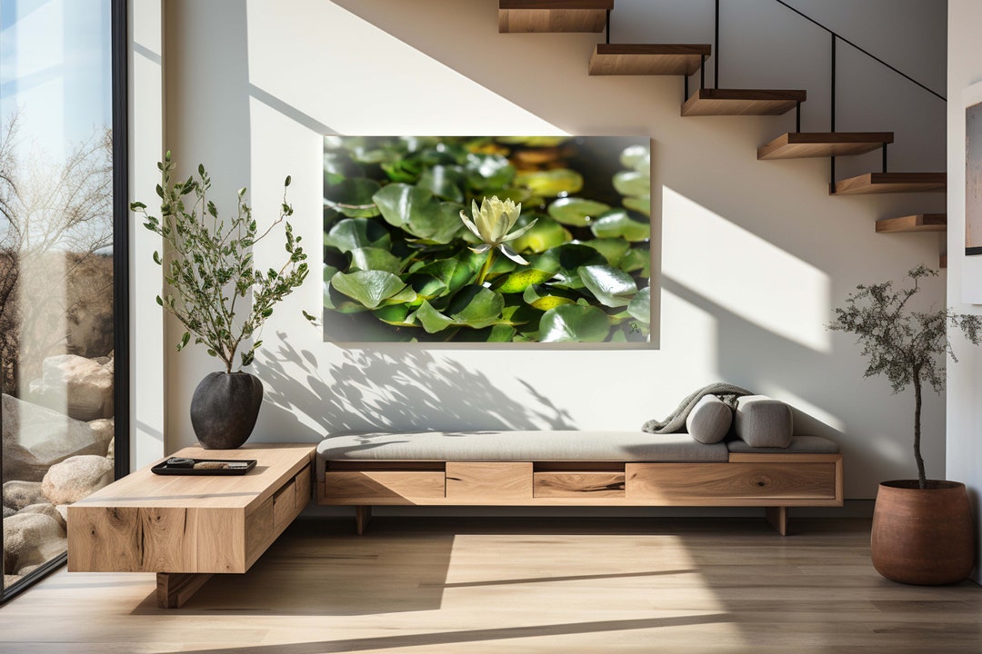 Swamp Decore Decoration, Photo Flower Decorating Decore,wall Decore ...