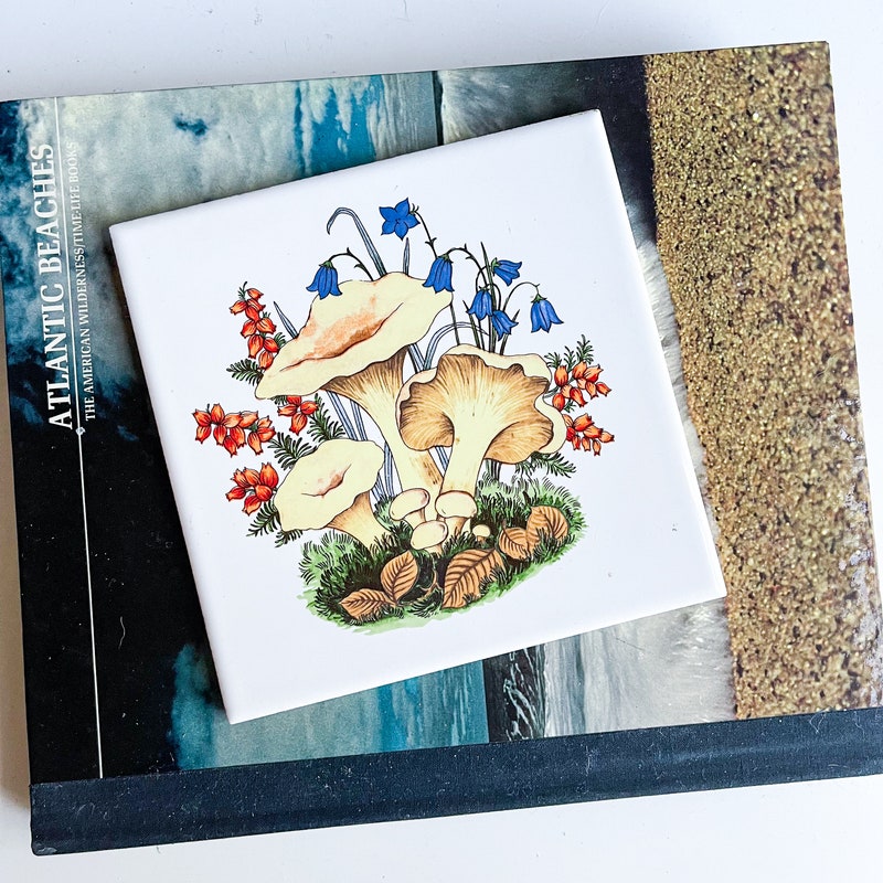 Mushroom Tile - Etsy