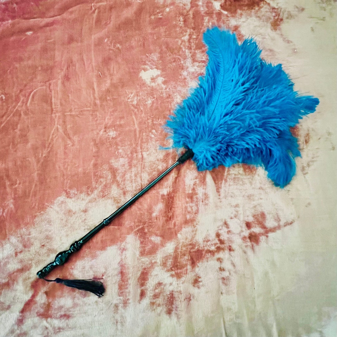 Victorian Style Ostrich Feather Duster With Long Handle - Gift, Home ...
