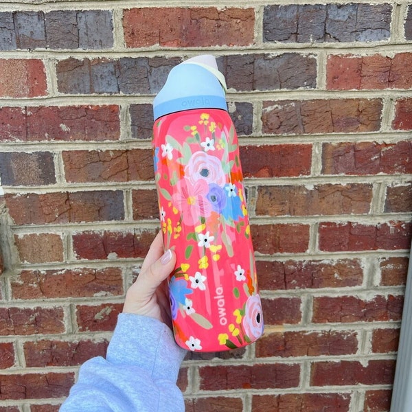 Painted Owala Bottle - Etsy