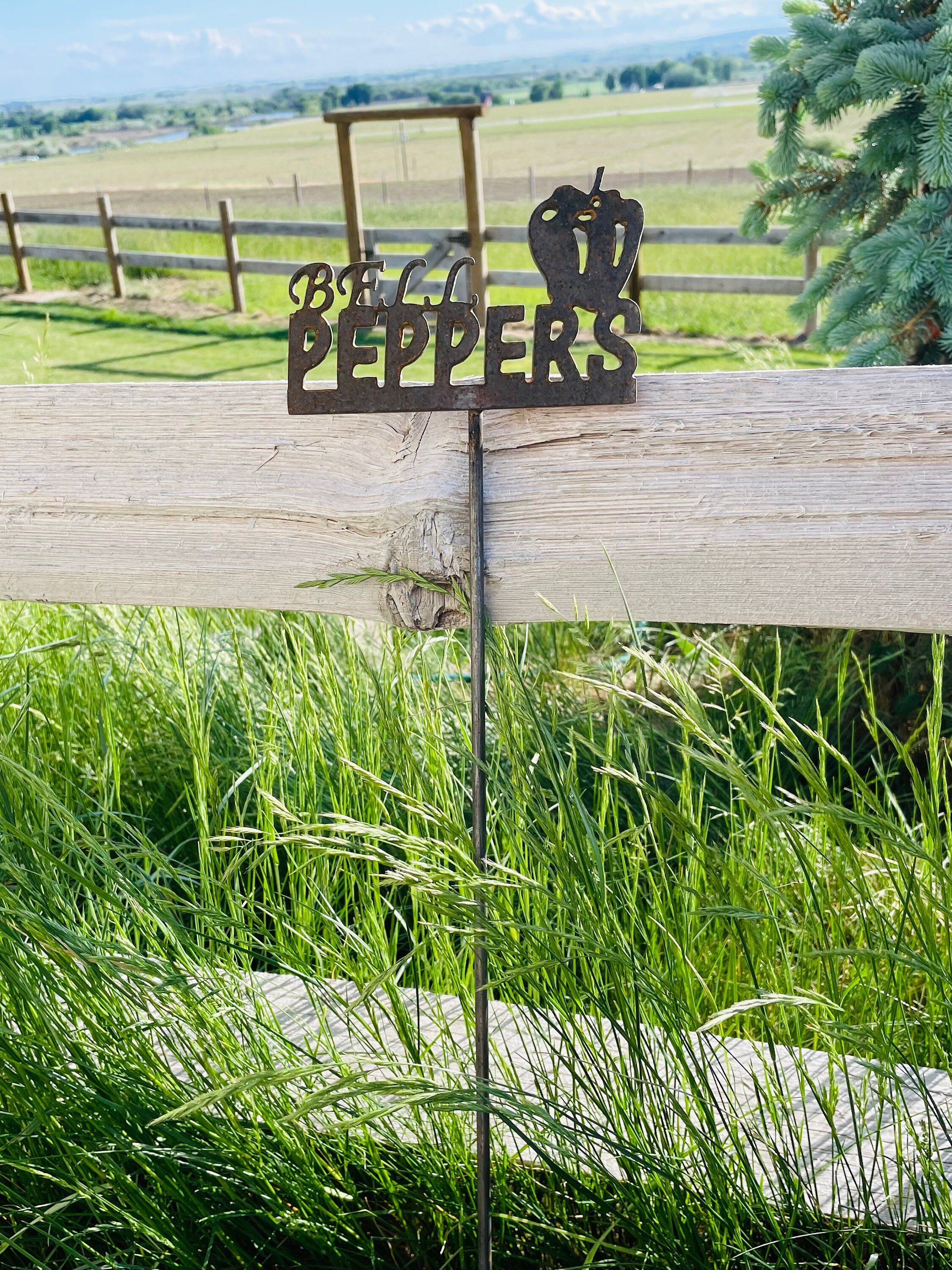 Metal Bell Pepper Garden Stake - Etsy