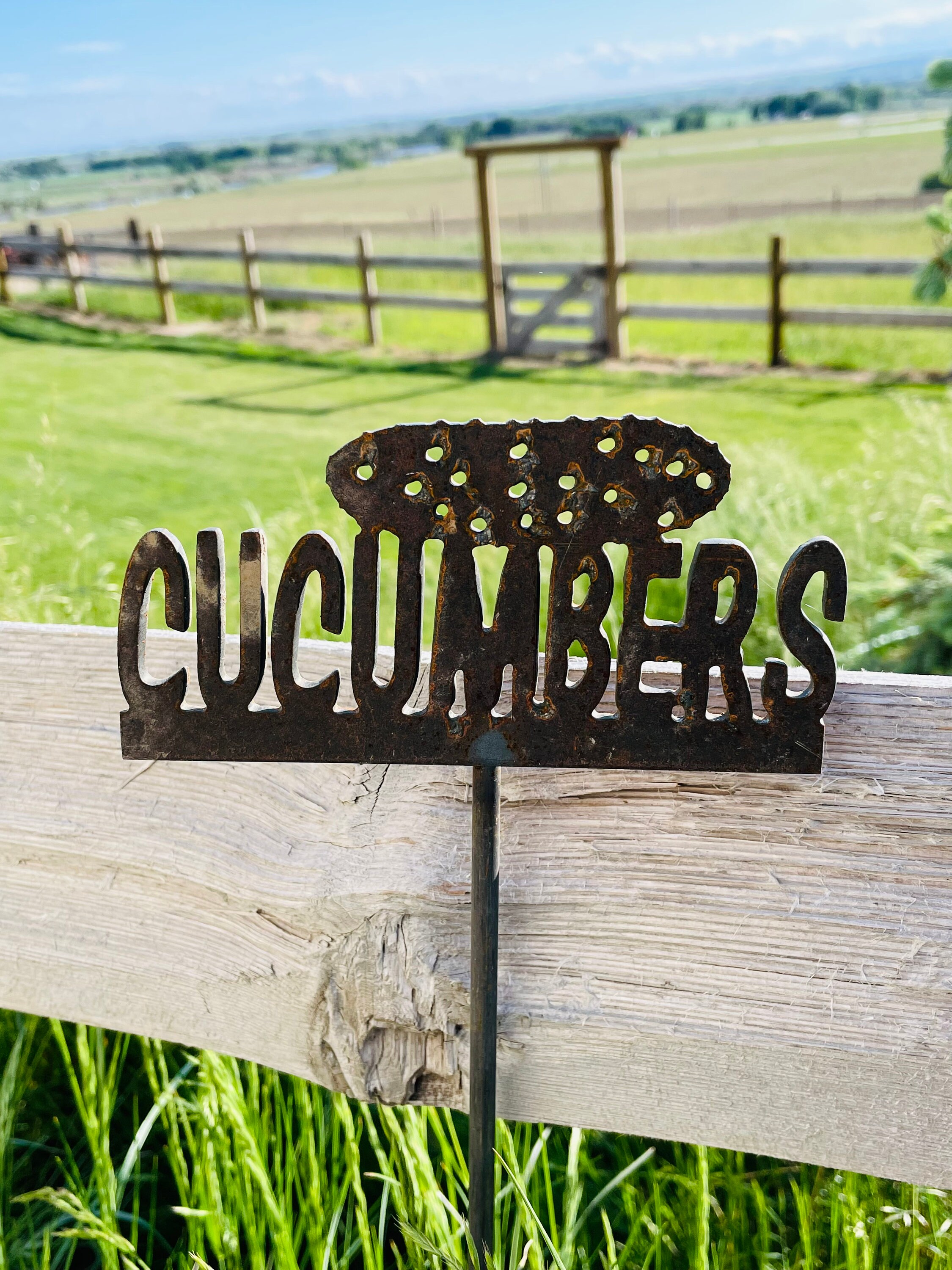 Metal Cucumber Garden Stake - Etsy