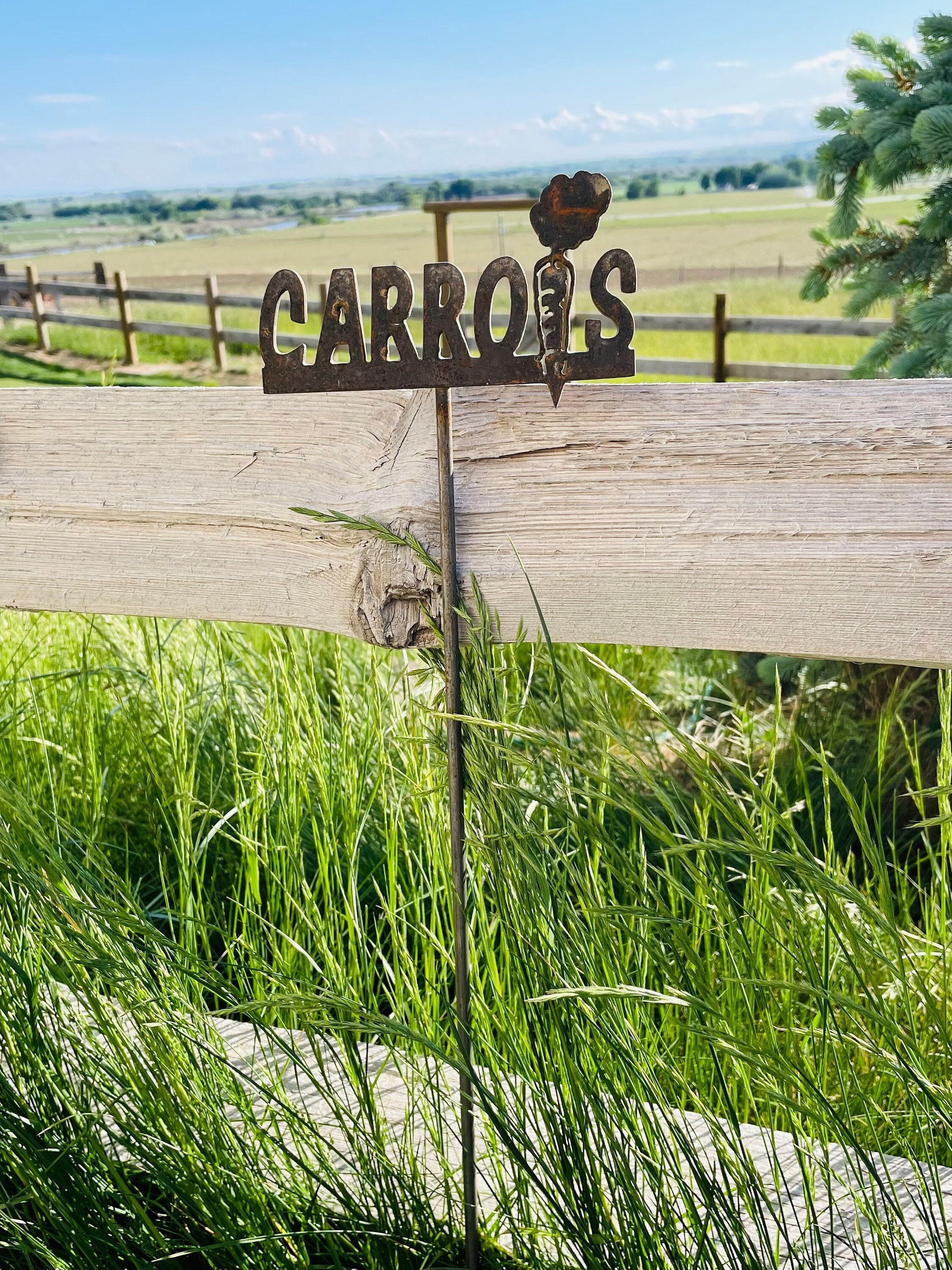 Metal Carrot Garden Stake - Etsy