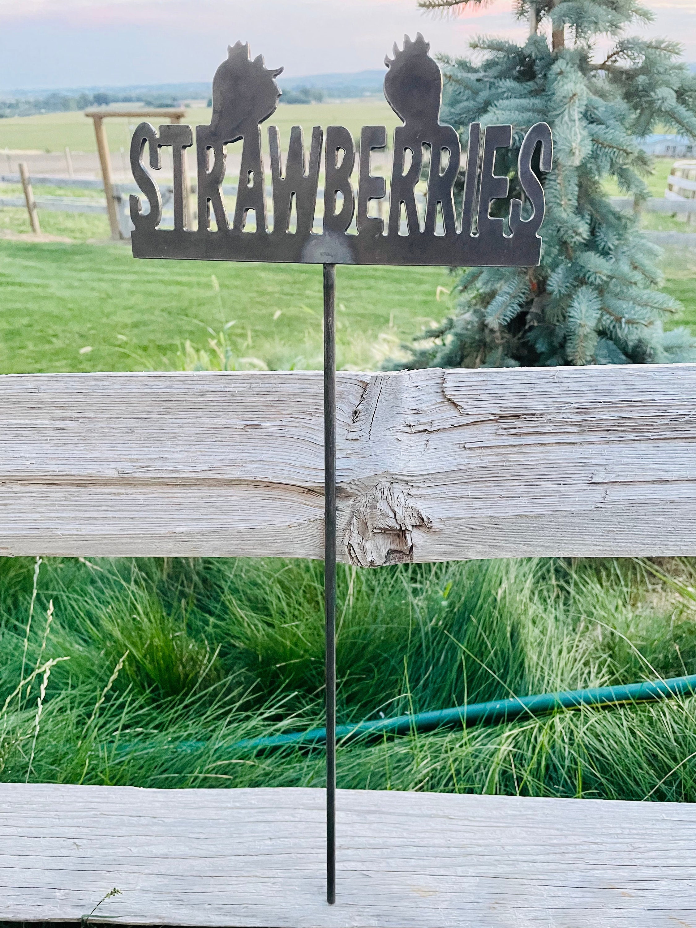 Metal Strawberries Garden Stake - Etsy