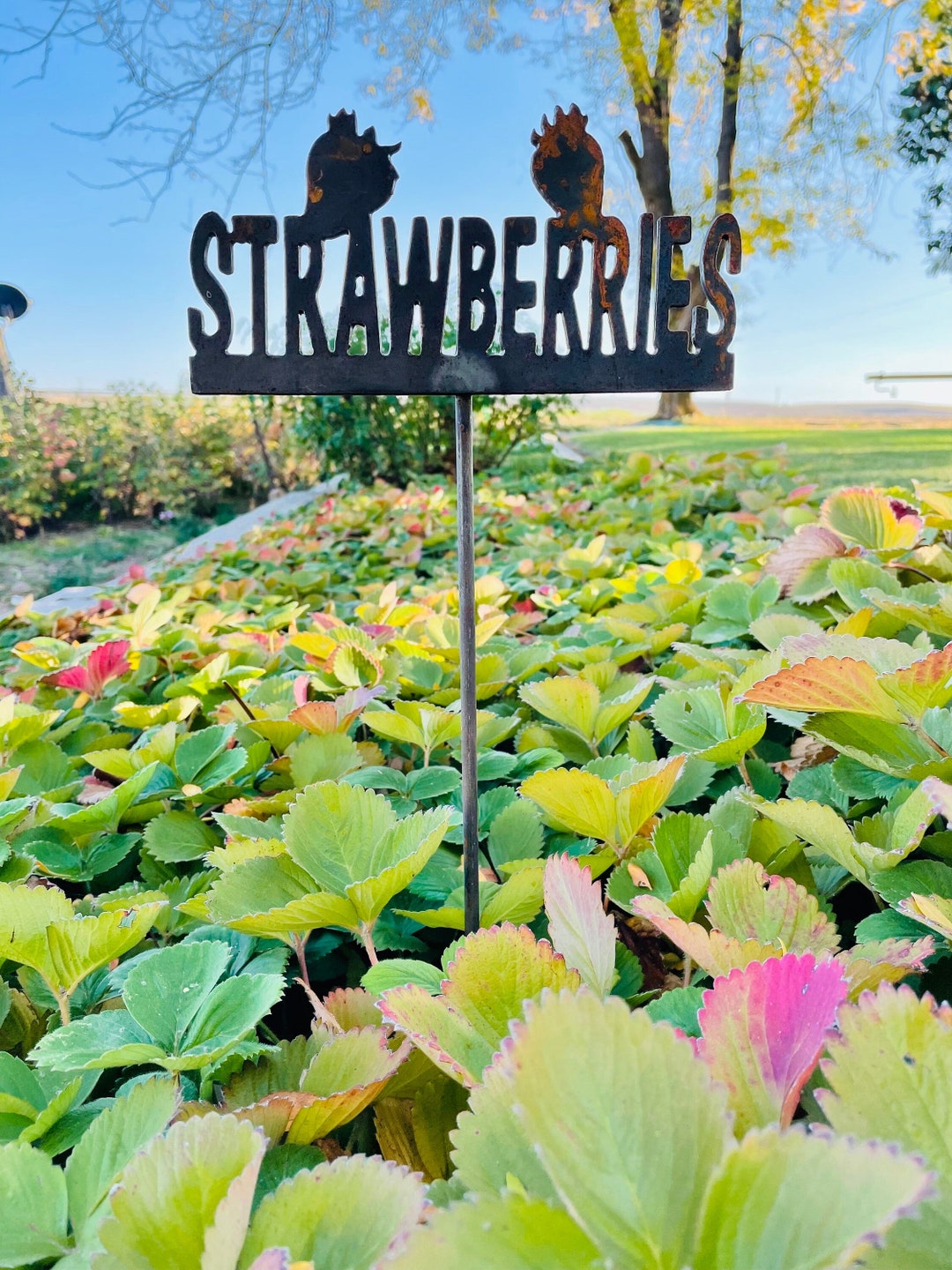 Metal Strawberries Garden Stake - Etsy