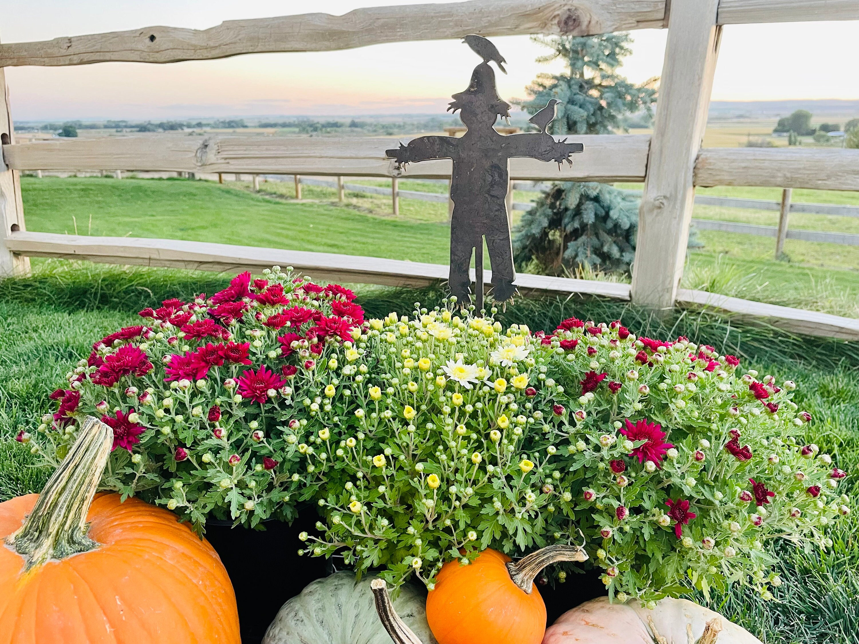 Scarecrow Stake - Etsy
