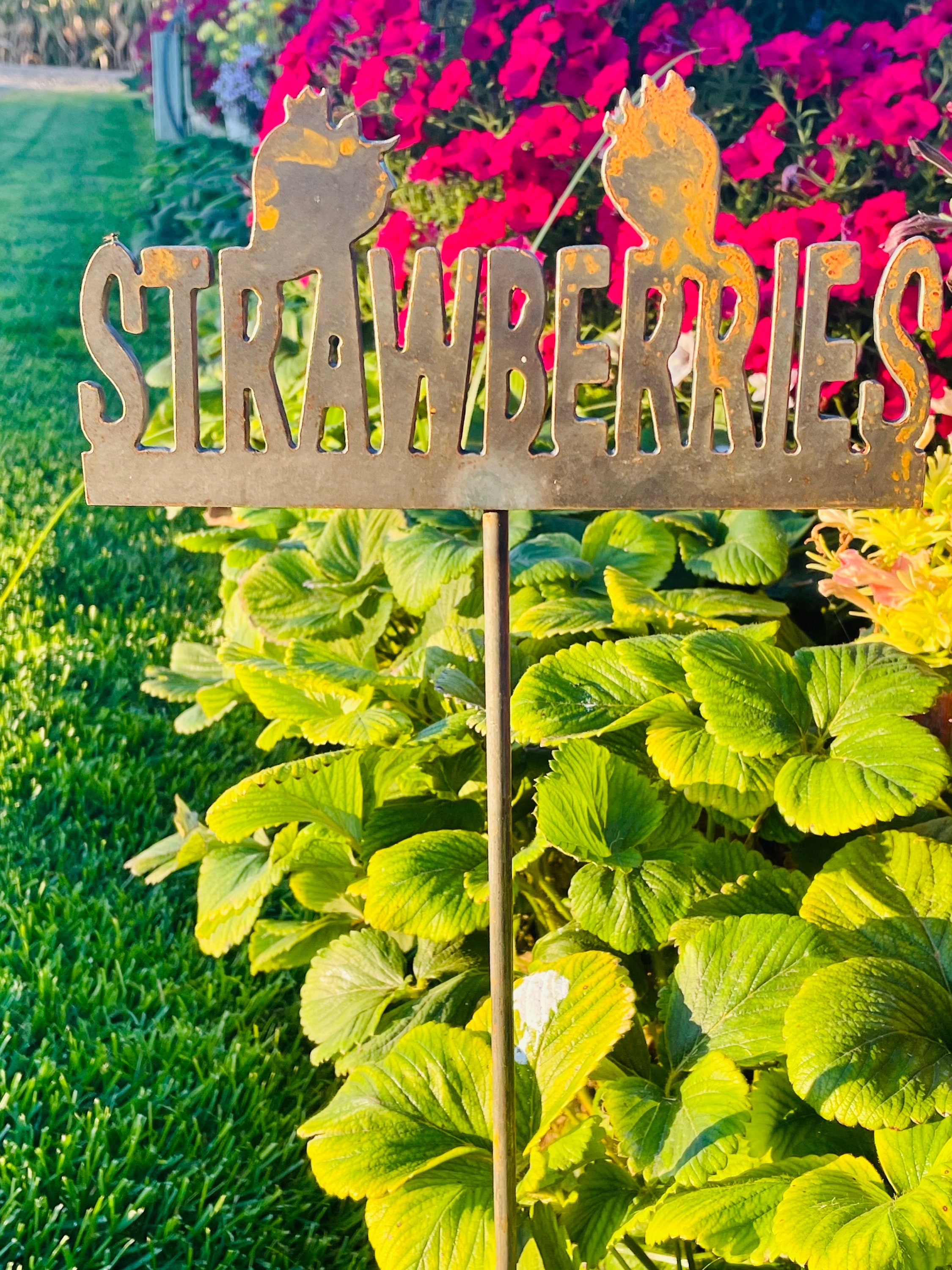 Metal Strawberries Garden Stake - Etsy