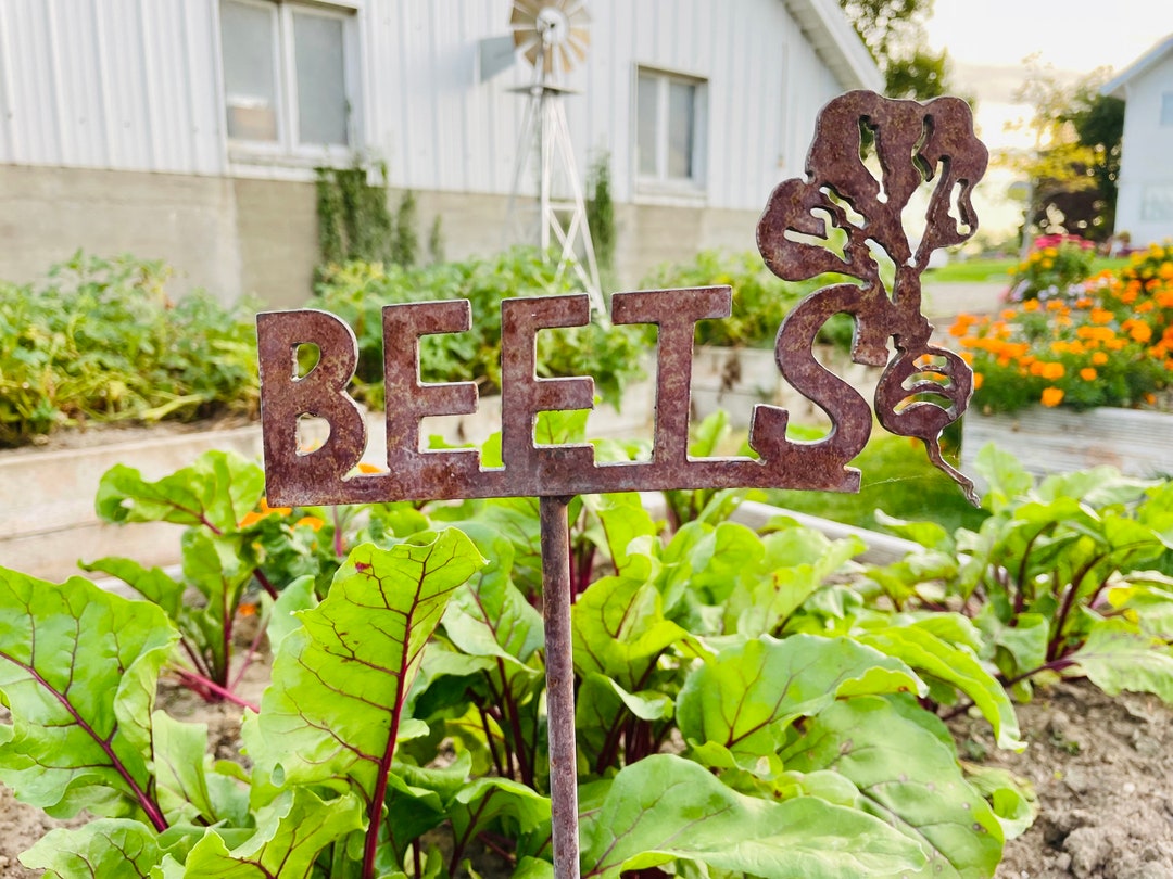 Metal Beets Garden Stake - Etsy