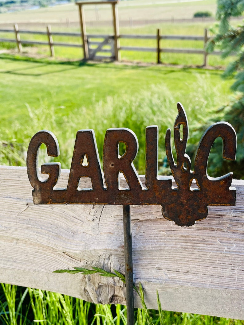 Metal Garlic Garden Stake - Etsy