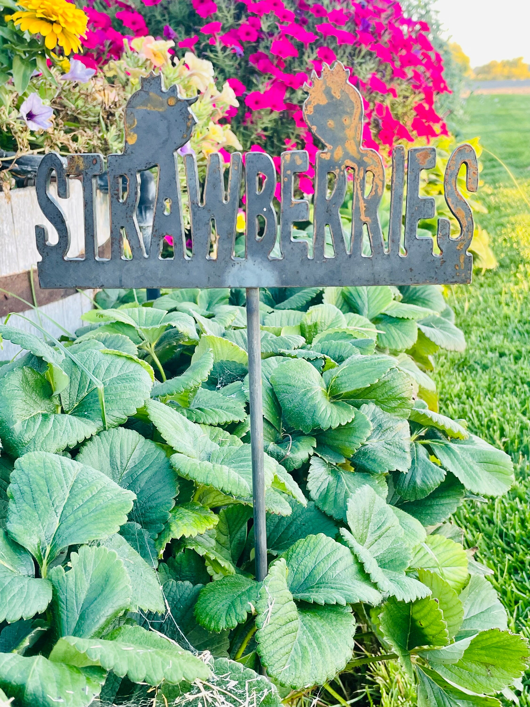 Metal Strawberries Garden Stake - Etsy