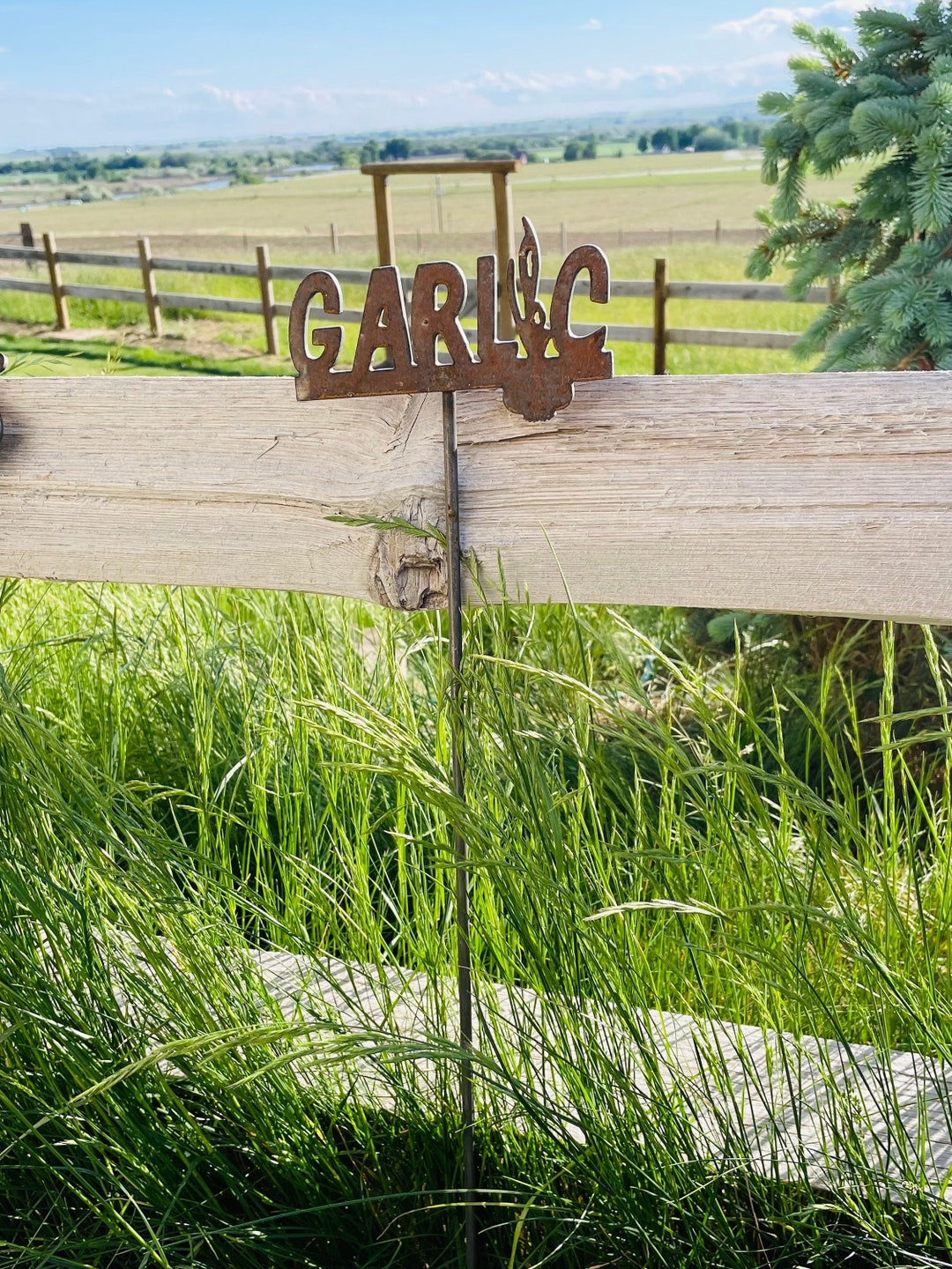Metal Garlic Garden Stake - Etsy
