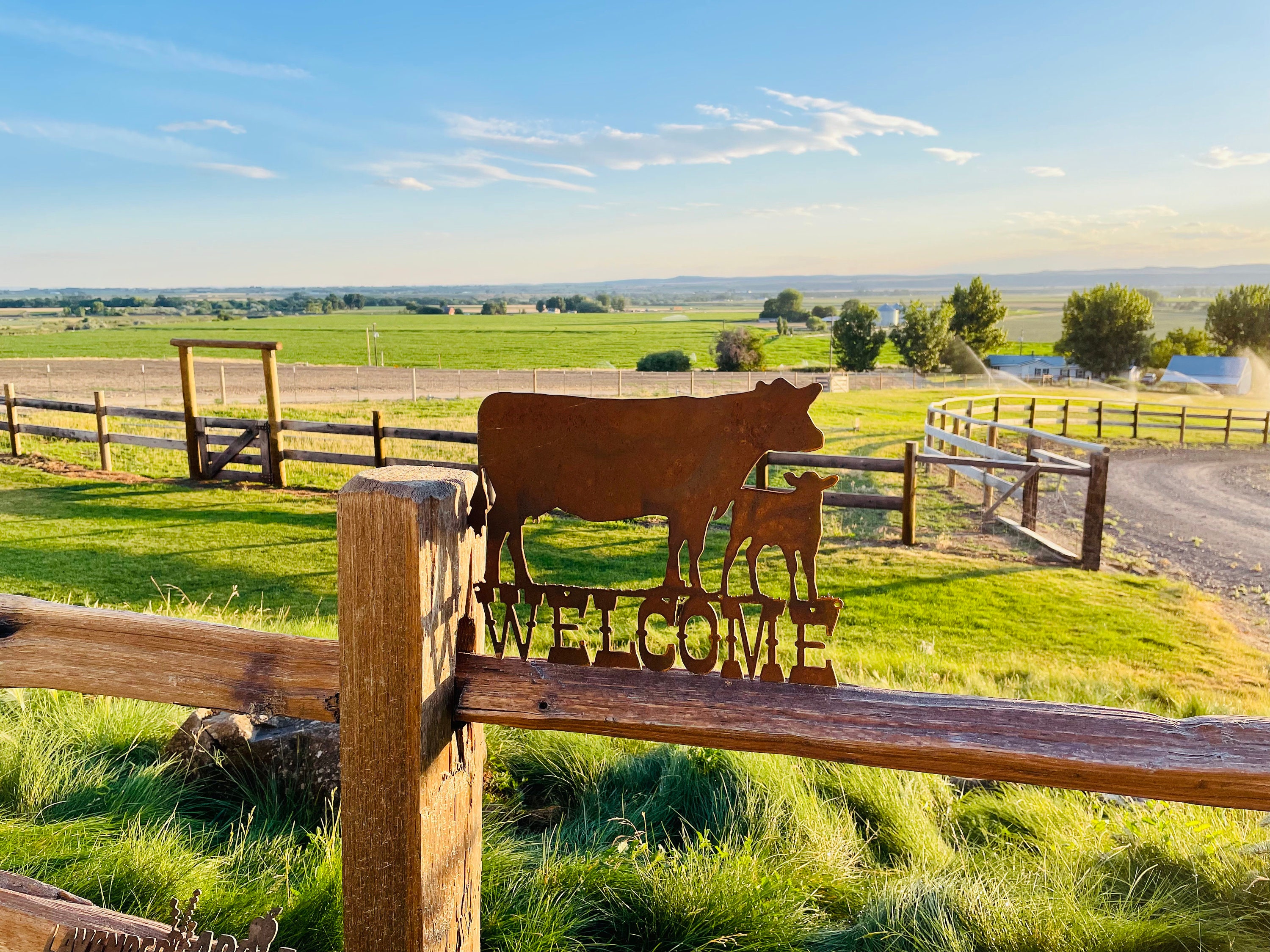 Cow Calf Welcome Sign - Etsy