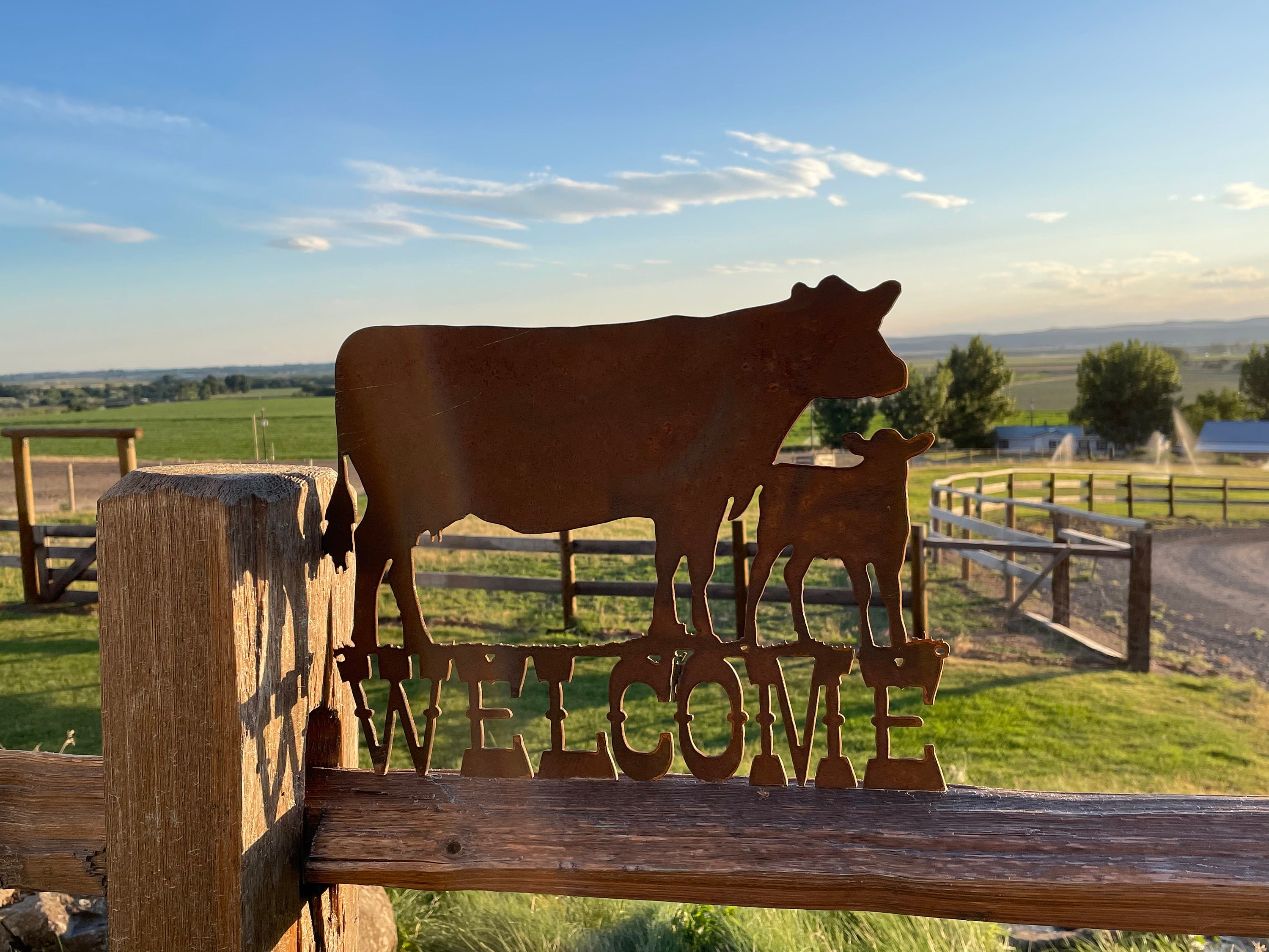 Cow Calf Welcome Sign - Etsy