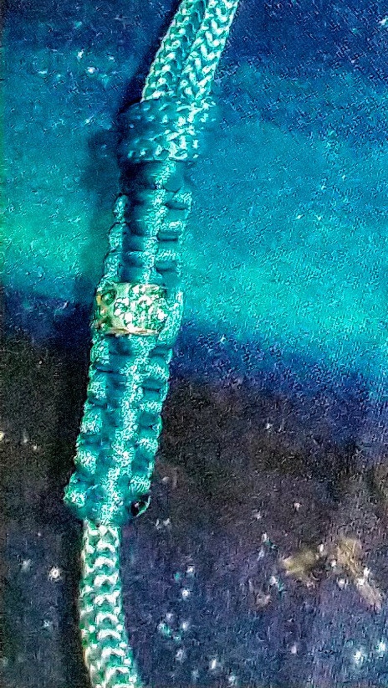 Elegant Blue Dog Show Collar & Beaded Show Lead, Dog Leash. Smooth or ...