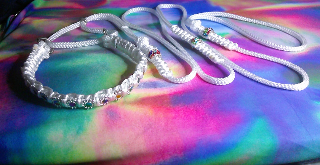 Elegant White Dog Show Collar & Show Lead, White Dog Leash + Many ...