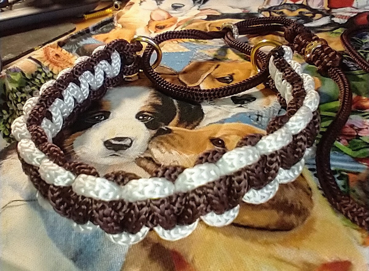 Elegant Custom Dog Show Lead. Fine Show Lead, Slip Lead, Dog Show ...