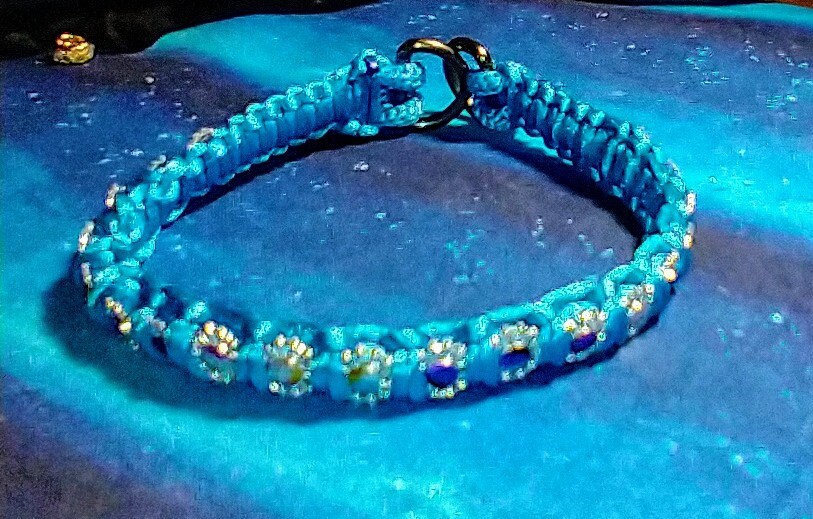 Elegant Dog Show Lead, Classic White or Black Dog Show Leads, Dog Show ...