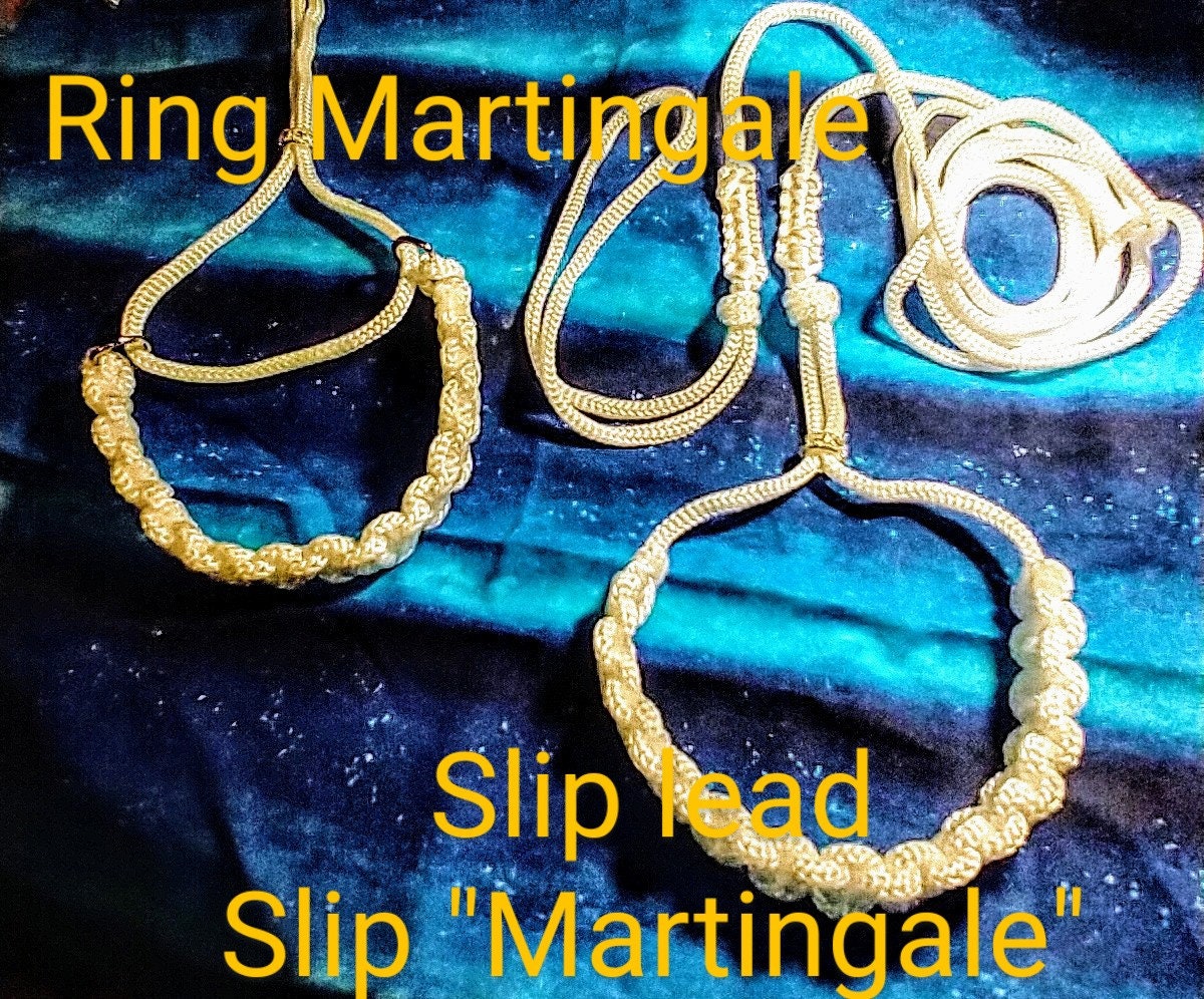 Elegant White Dog Show Collar & Show Lead White Dog Leash - Etsy