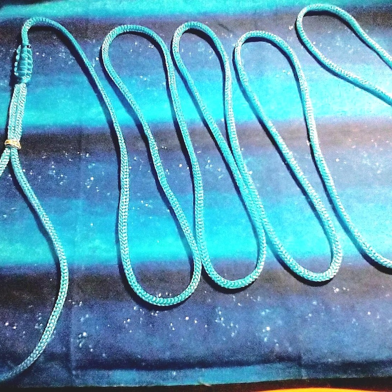 Dog Show Lead With Snap - Etsy