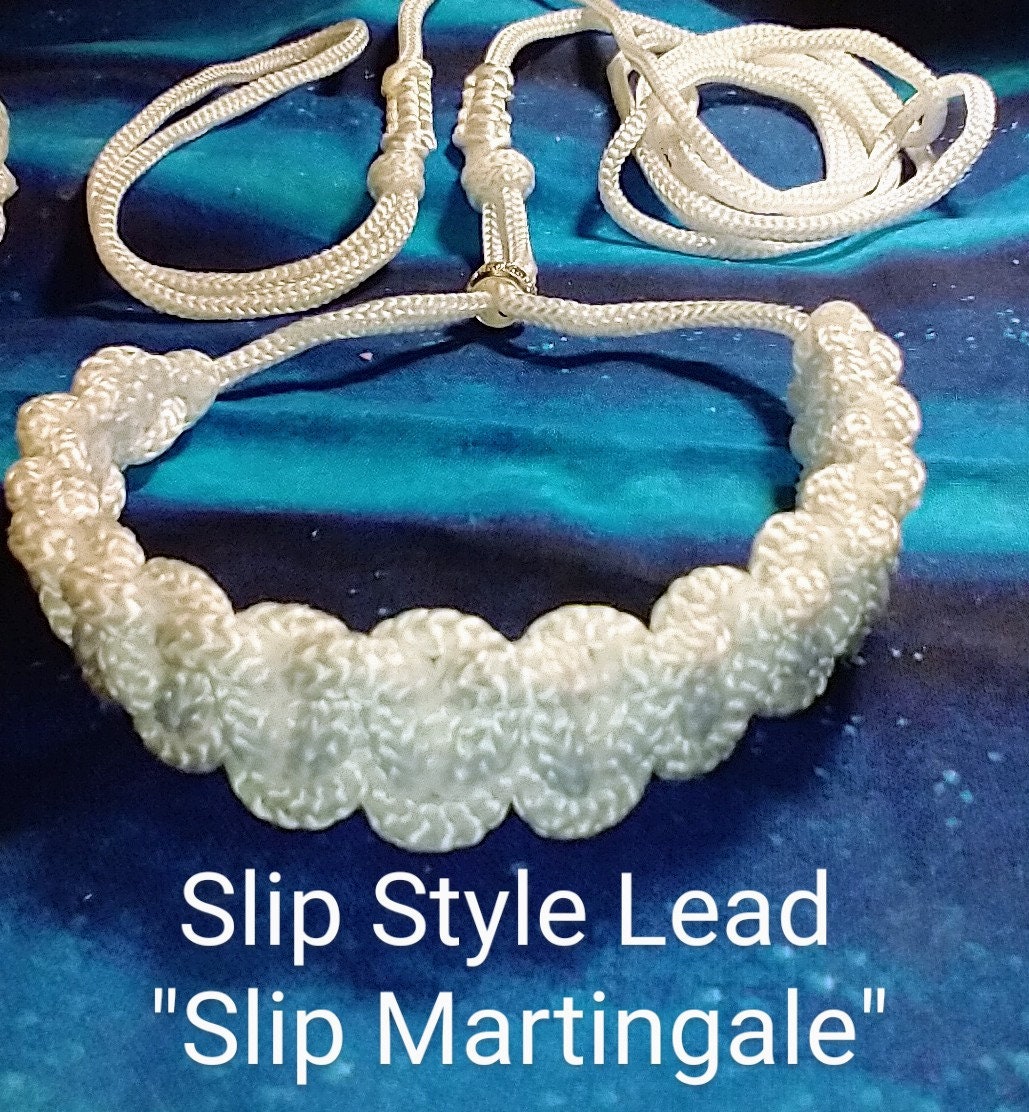 Elegant White Dog Show Collar & Show Lead, White Dog Leash W/ Cushioned ...