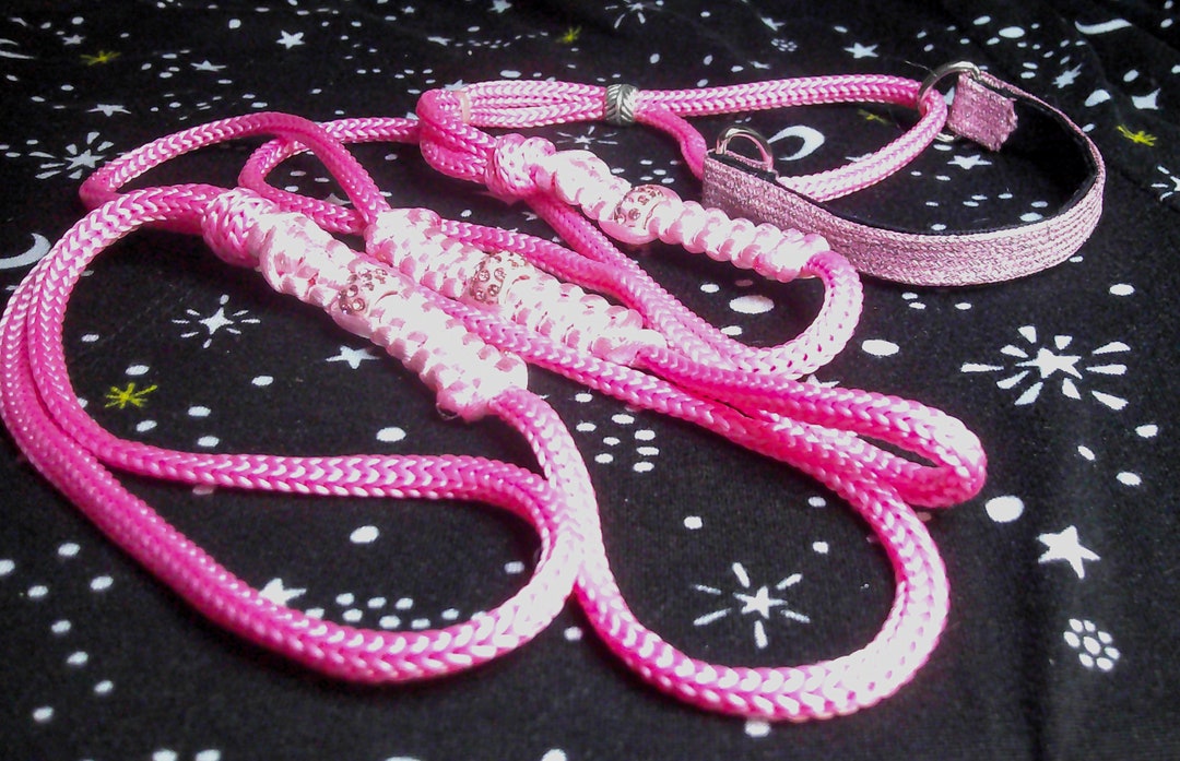 Elegant Sparkle Show Lead for Dogs, Beaded Show Lead, Dog Leash. Dog ...